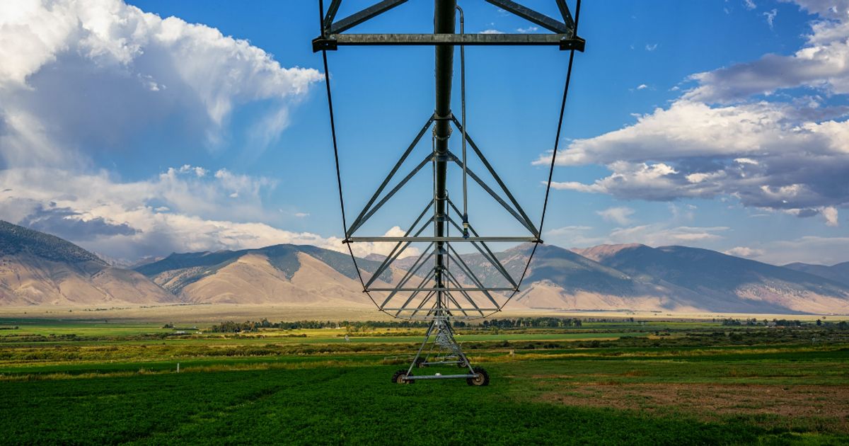 A new irrigation system for farmers in Sudan | DGGF