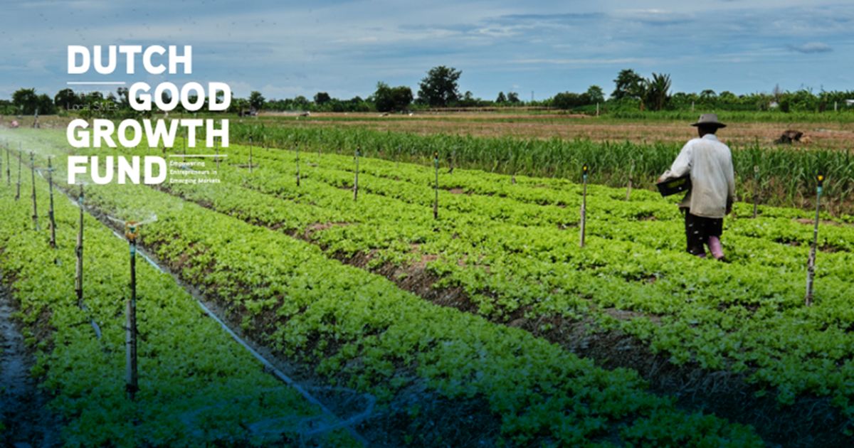 Sharing the key lessons of the DGGF knowledge event | DGGF