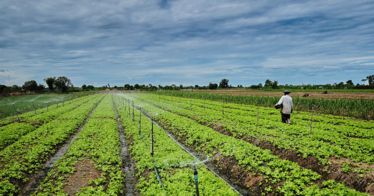 DGGF portfolio assessment: climate risk, needs and opportunities | DGGF